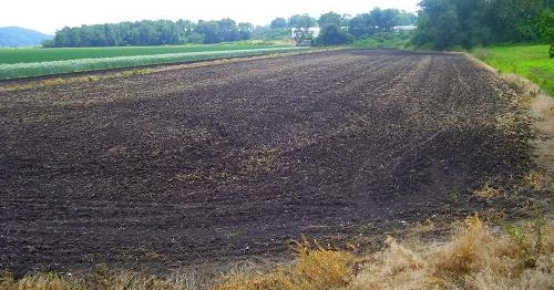 PanGeographic: Chernozem, the other black gold.