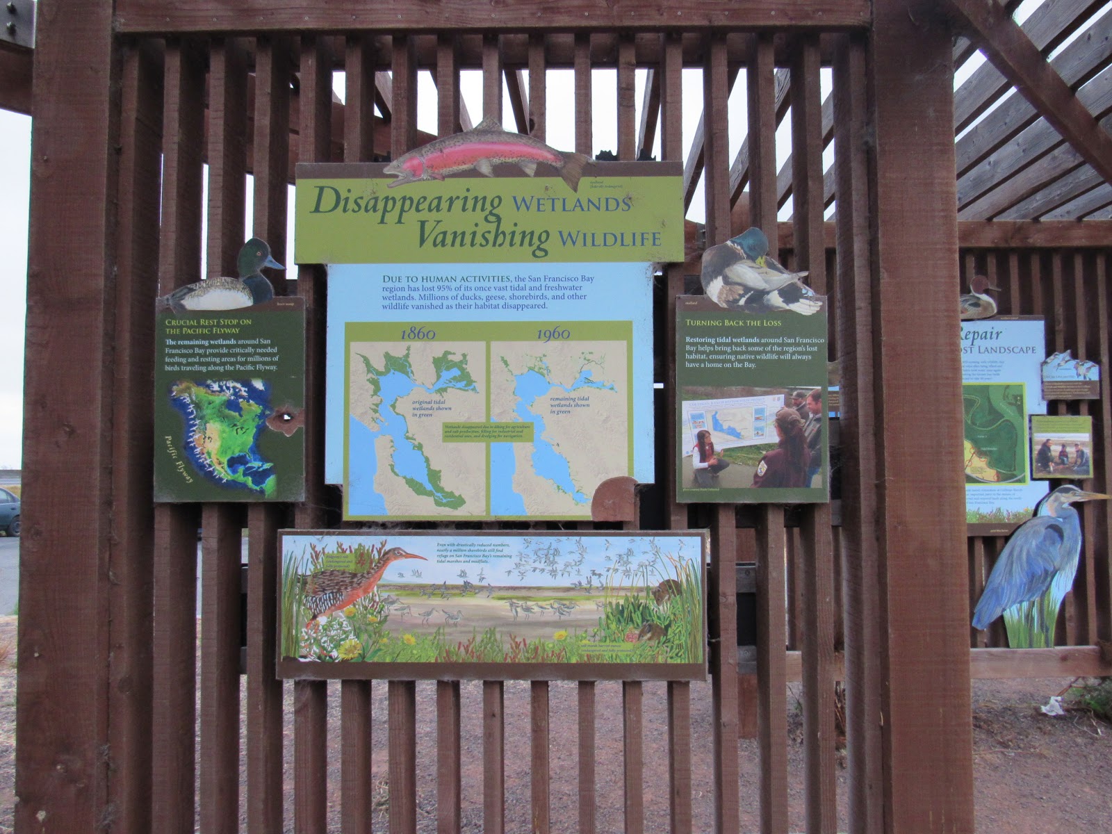 Wings and Daydreams: San Pablo Bay National Wildlife Refuge