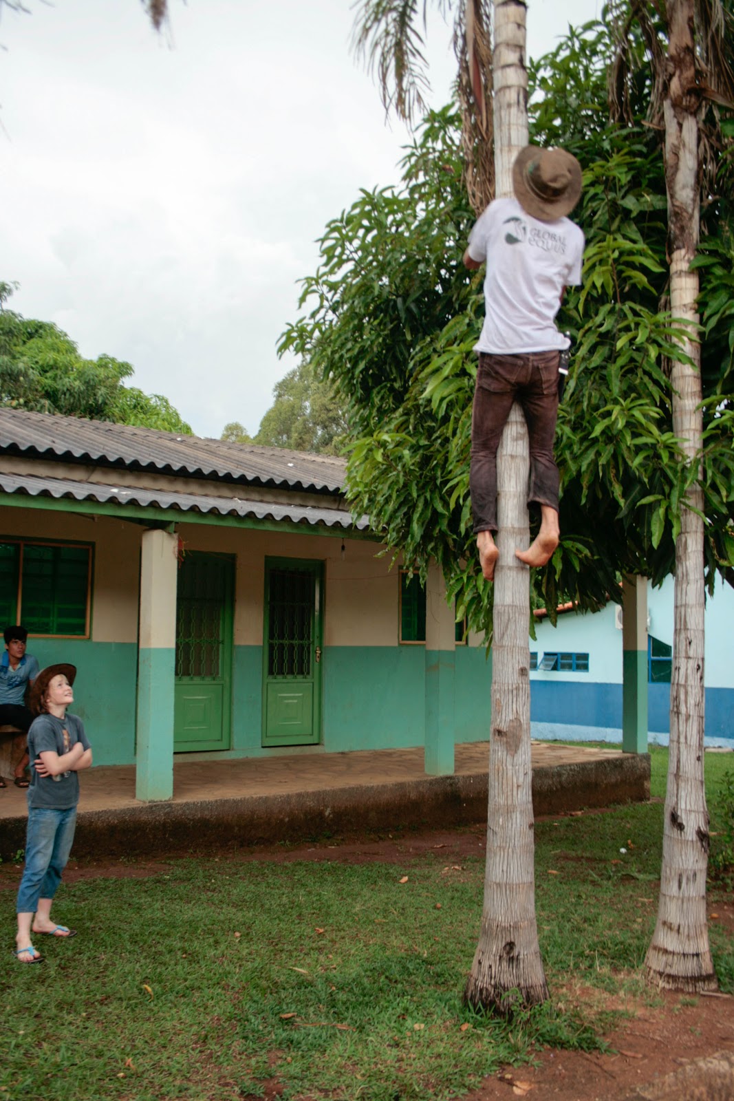 Extreme Operations: Horses for Orphans, Brazil - Day 4