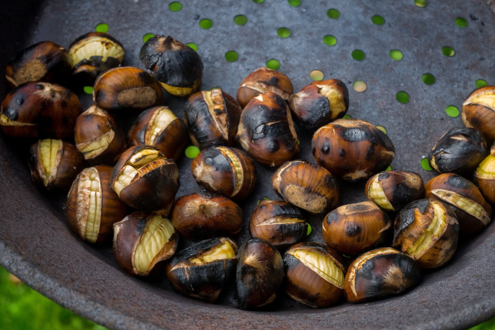 cipputiblog: Nelle settimane delle castagne e del vino novello