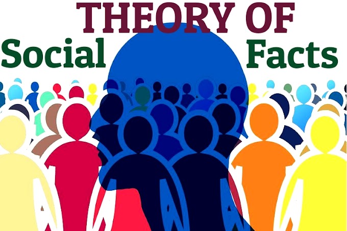 Theory of Social Facts