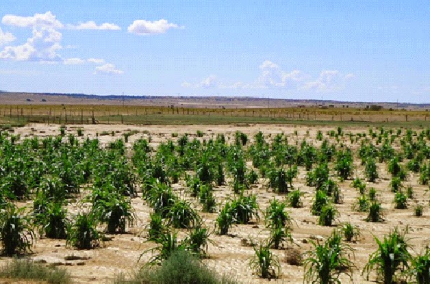 THE STILETTO GANG: Confessions of a Research Slut