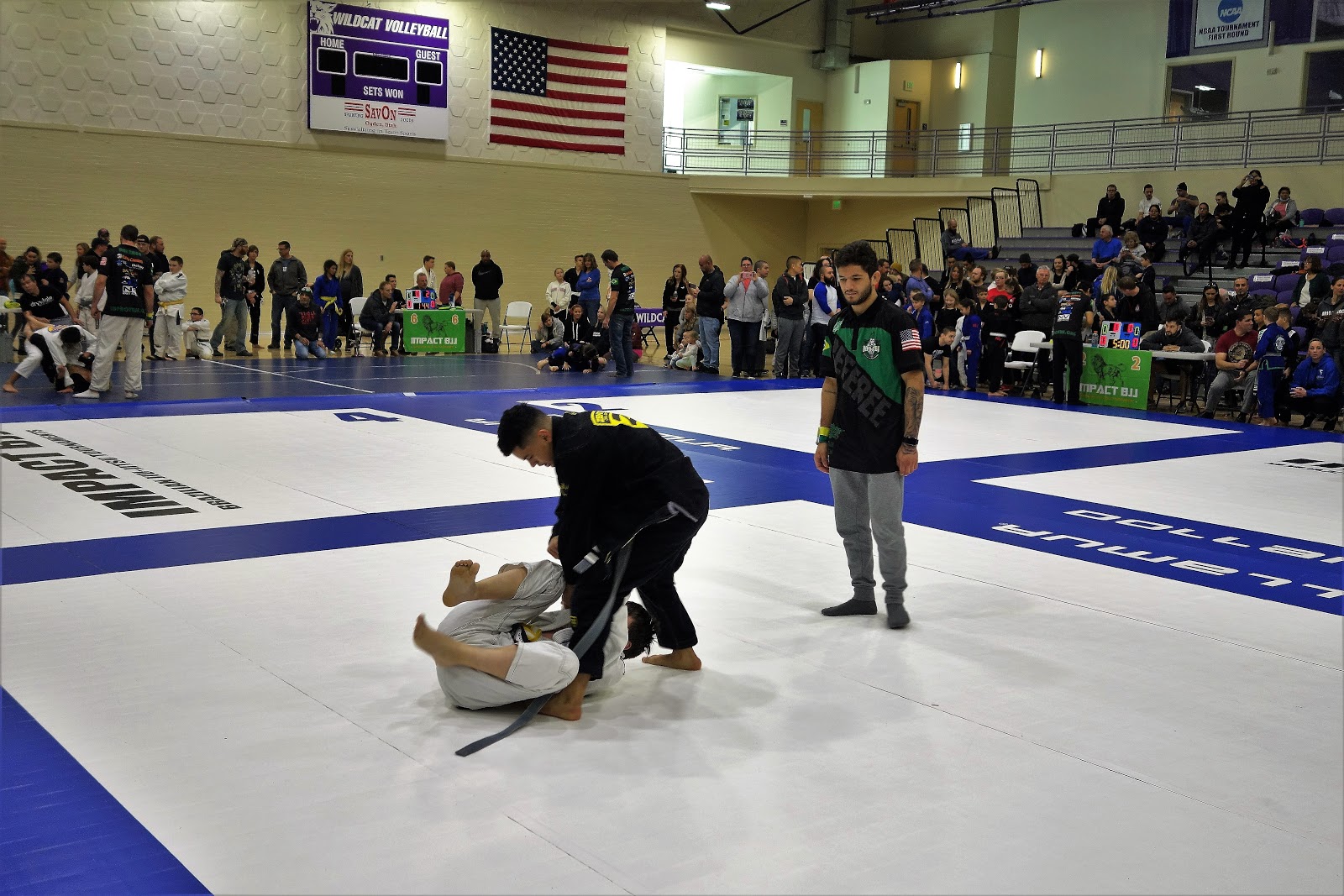 IMPACT BJJ TOURNAMENTS: January 2019