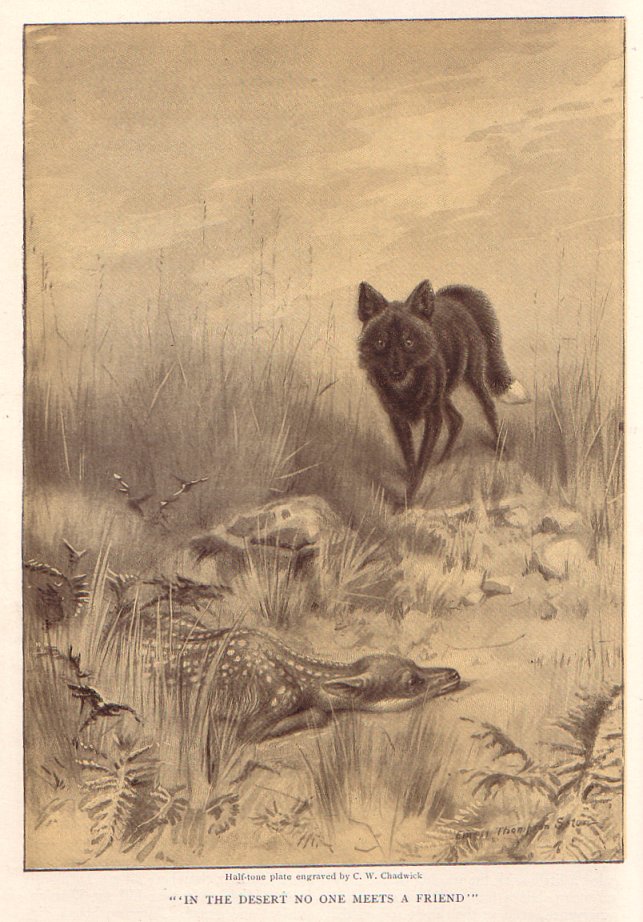 Yesterday’s Papers: Ernest Thompson Seton (1860-1946)