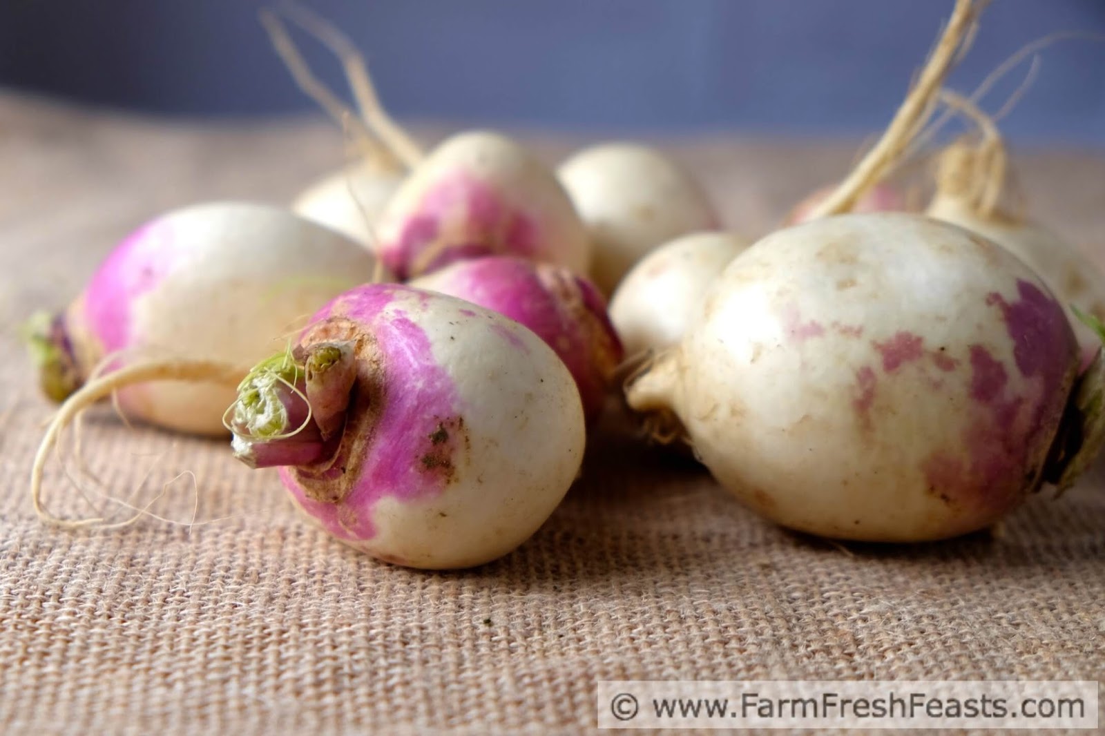 Farm Fresh Feasts: spring