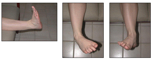 Educación Física Nuestra Señora del Carmen