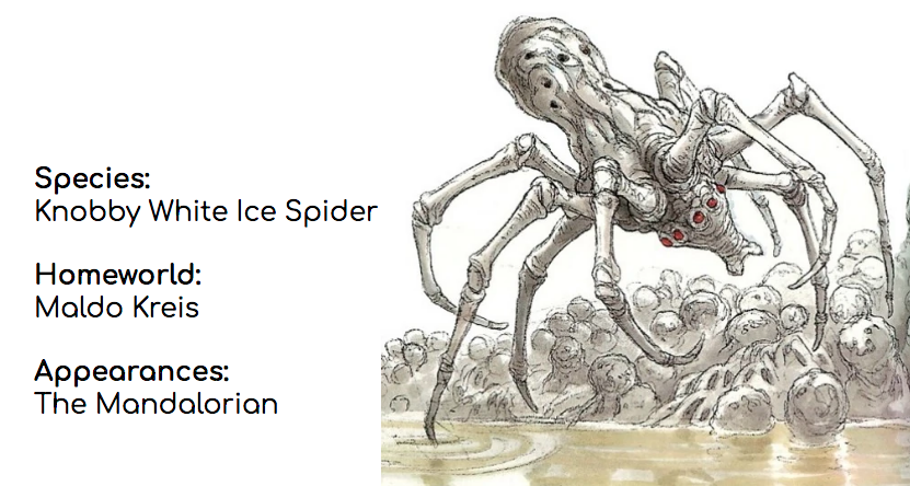 Knobby White Ice Spider