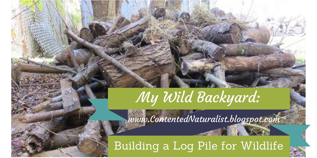 The Contented Naturalist: Create Shelter: Build a Log Pile for Wildlife