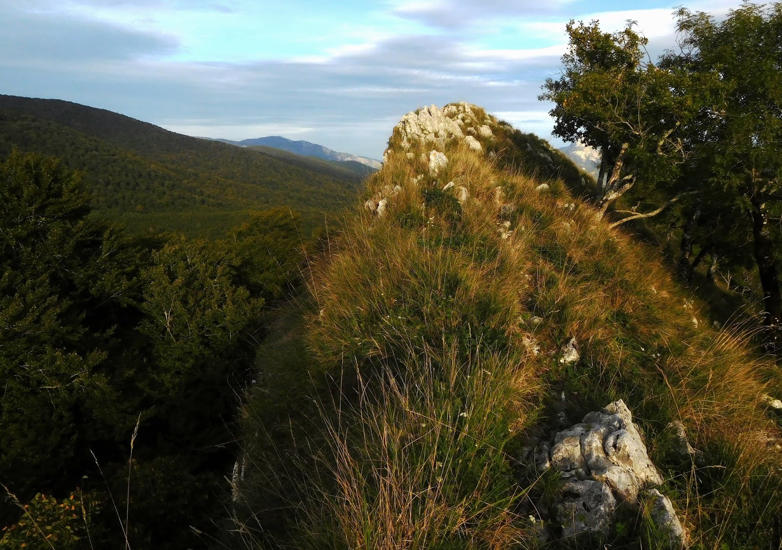 SARABEKO HAITZA desde el VALLE DE SARABE ( URDIAIN ) 159