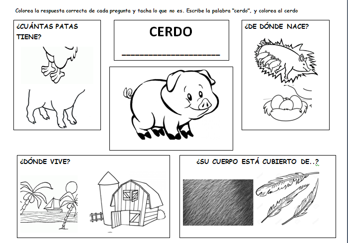 BLOG 1º DE INFANTIL 2019 - 2020: El Cerdo 1