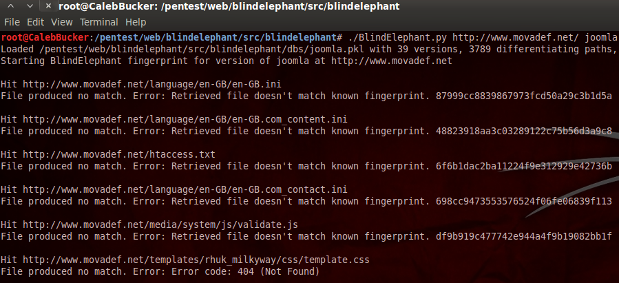 BlindElephant BackTrack 5 ~ Tutoriales Hacking