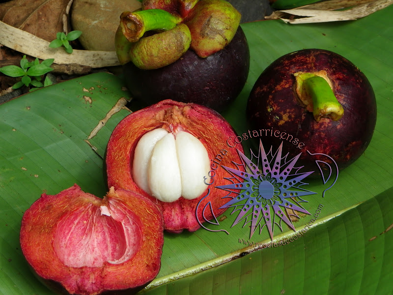 Cocina Costarricense: mangostán