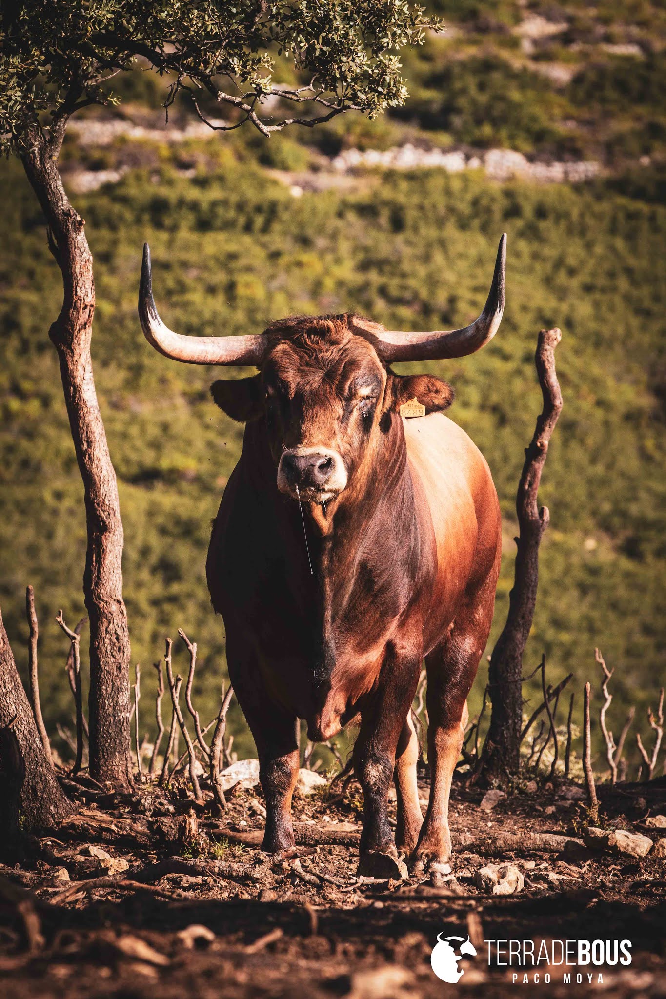 LOS DE LA CARRASCA SIGUEN ESPERANDO SU DESTINO