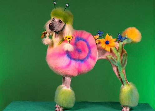 The dog in world: New Trend in Dog Design