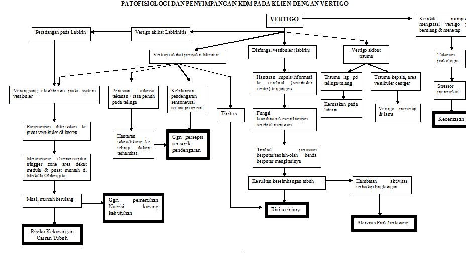 PATOFLOW: patoflow VERTIGO