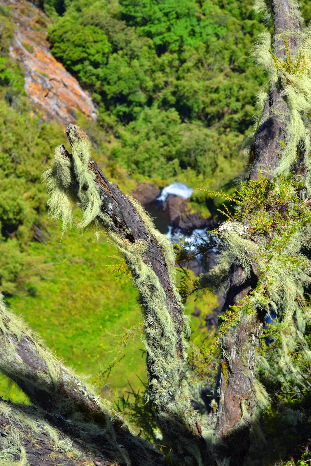 It's Wamũyũ.: Karuru Falls - Aberdare National Park (07-02-2015)
