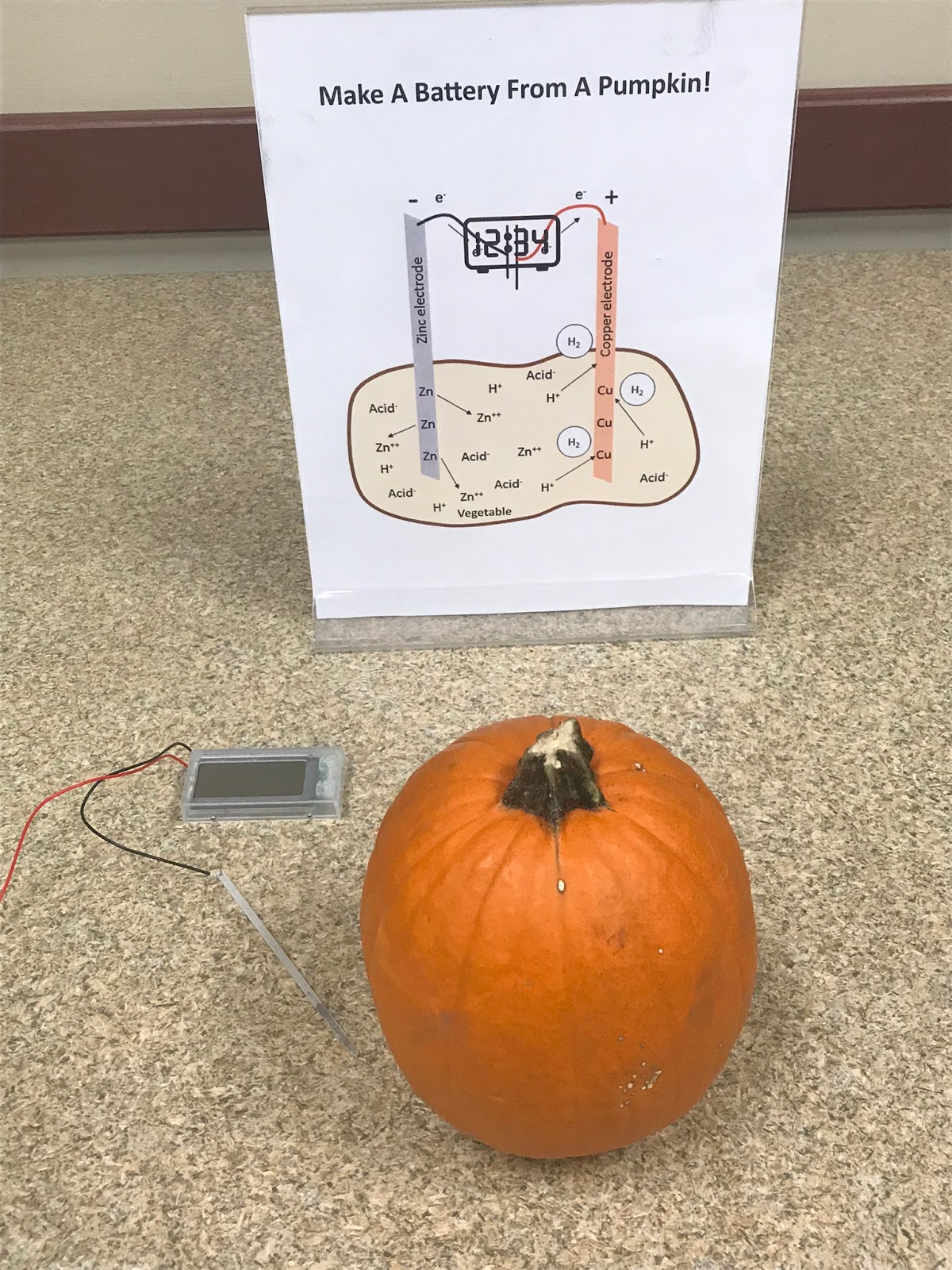 Adventures In Storytime (and Beyond): Pumpkin Science - STEM Program