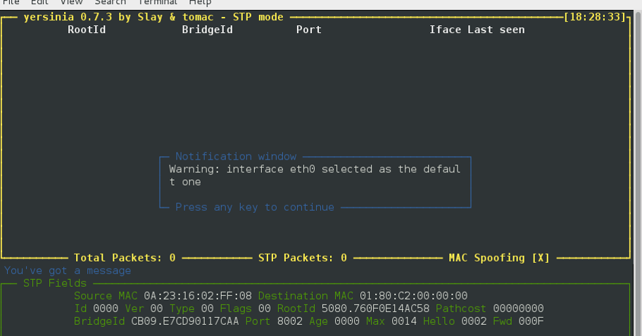 DHCP STARVATION ATTACK