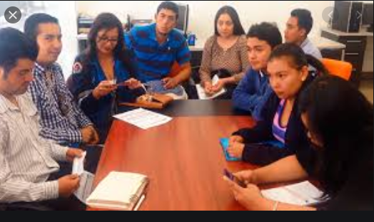 DEFINICIÓN DE PRÁCTICA PROFESIONAL