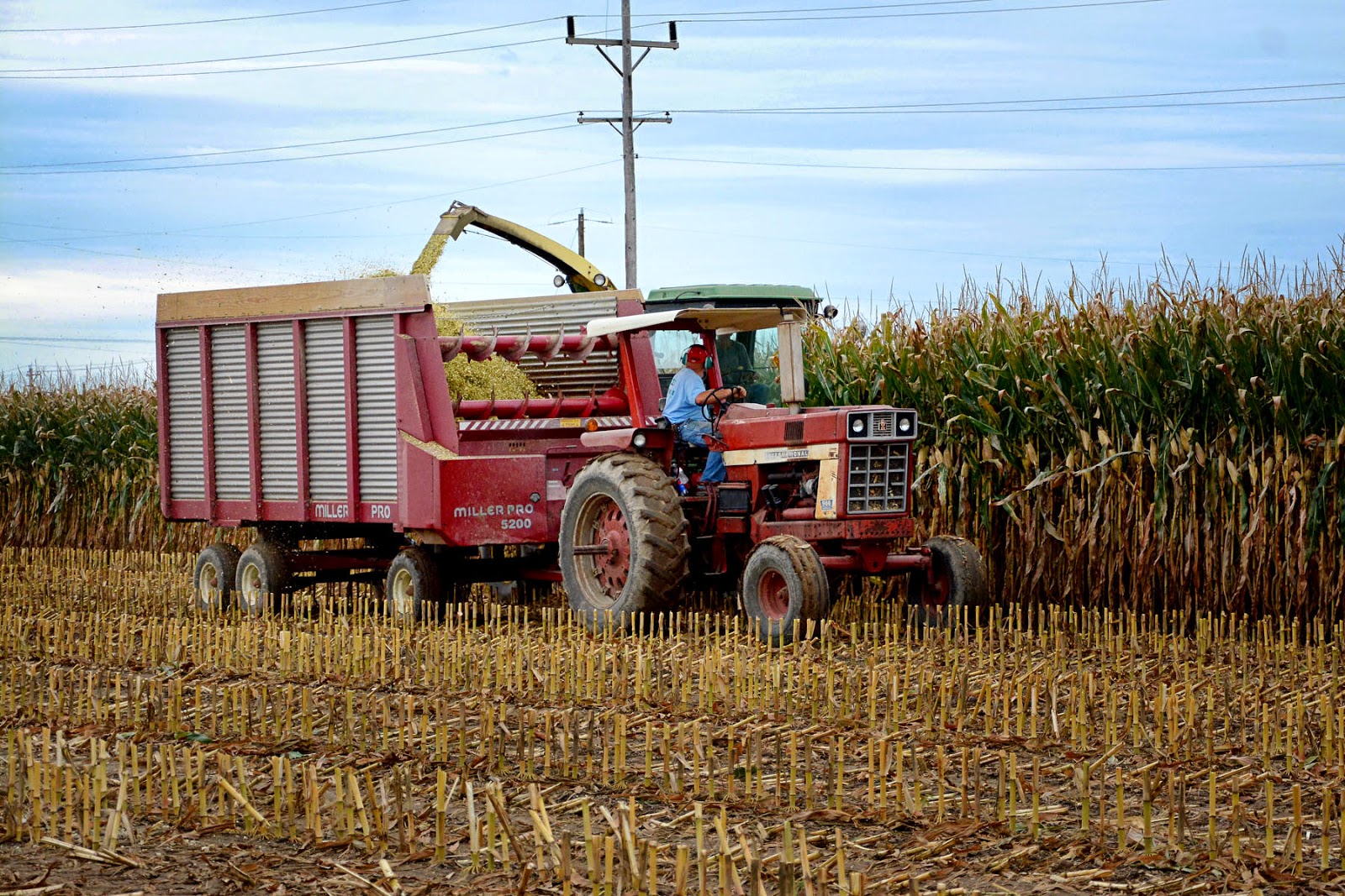 This Farm Family's Life: It's Choppin' Time...