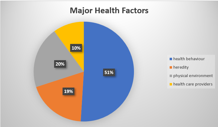 What Factors Influence Health? - InformationBoxTicket 30-12-2023 Win ...