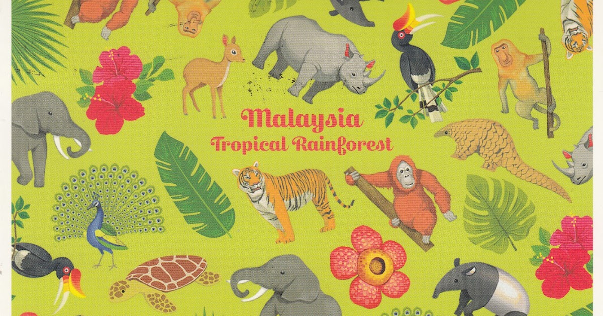 My postcard and stamp week: Malaysia: Tropical Rainforest