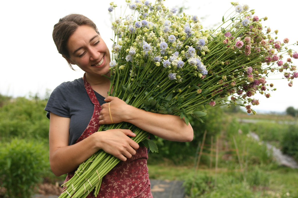 paradis express: Floret Organic flower farm