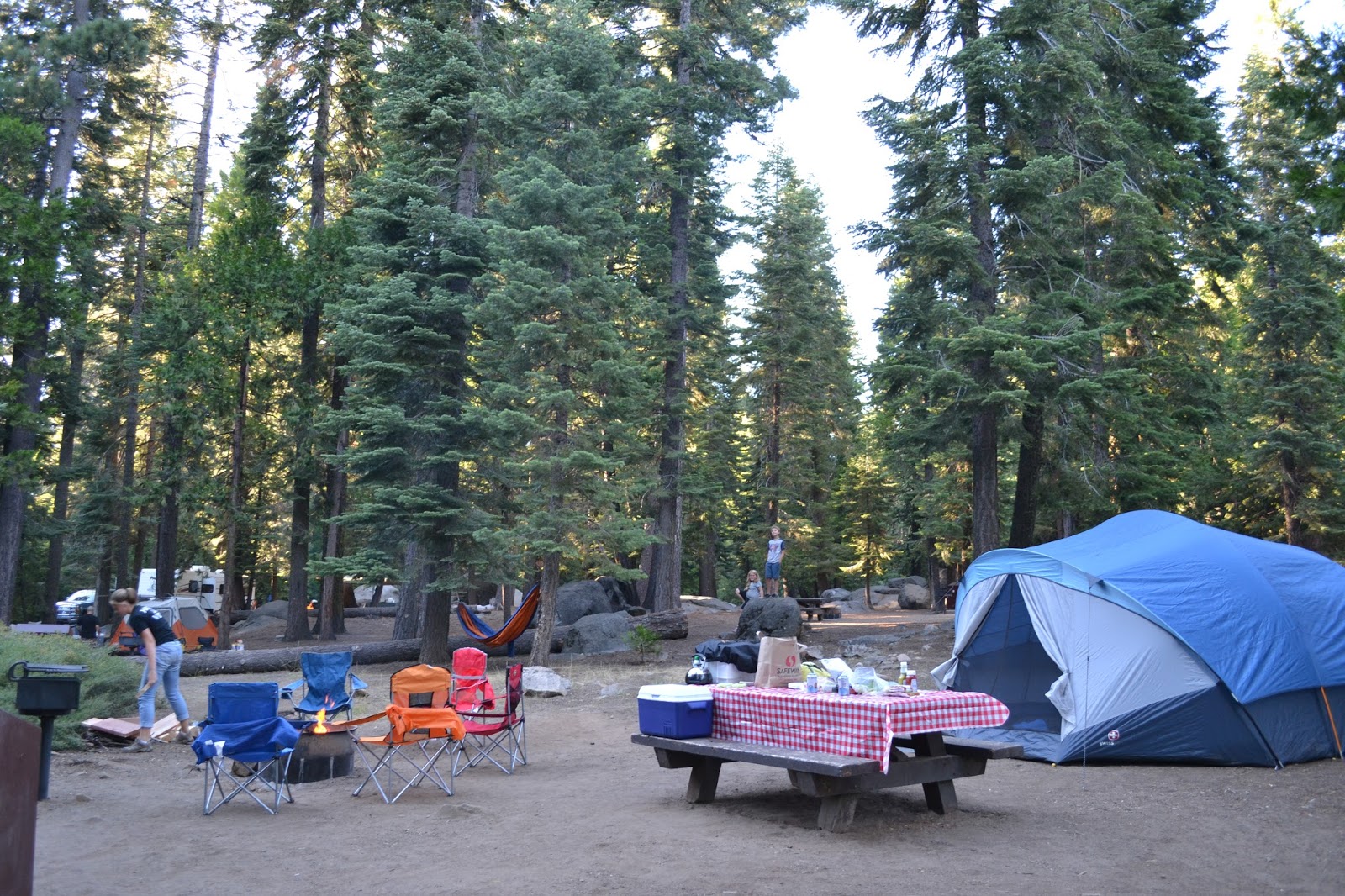 Sanderson Bee: Camping at Ice House Reservoir