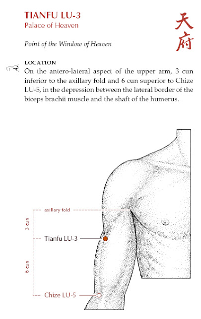Acupuncture Masters: Acupuncture Points Database - Lung Channel