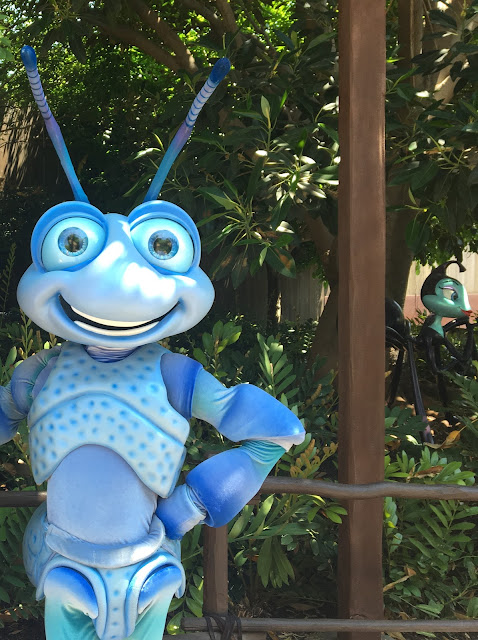 What A Bug's Life Characters Should Disney Magic Kingdoms Add?