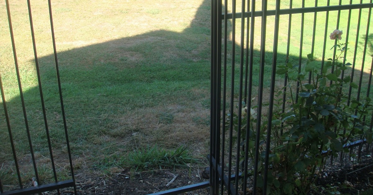 Croz Custom Metal Fabrication: Designing and Building An Invisible Gate