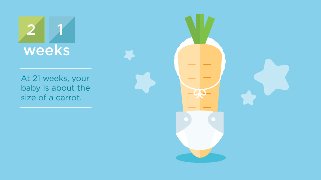 Pregnancy Week By Week : 21 Weeks Pregnant - What To Expect | Diva Likes