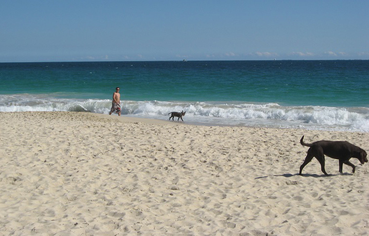 Are Dogs Allowed At Chidley Reserve