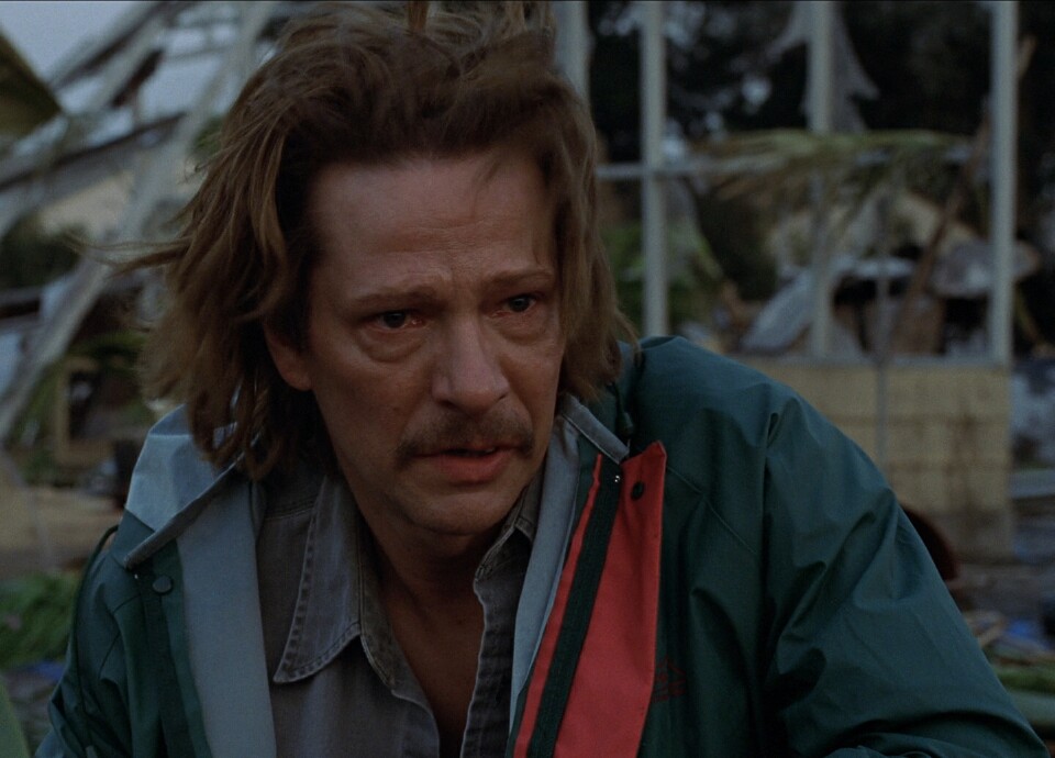 Film Fan: Adaptation (5 Stars)