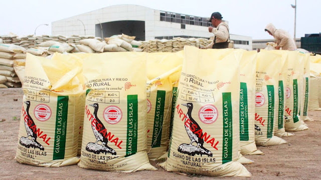 GUANO PERUANO SERÁ EXPORTADO POR SU CALIDAD