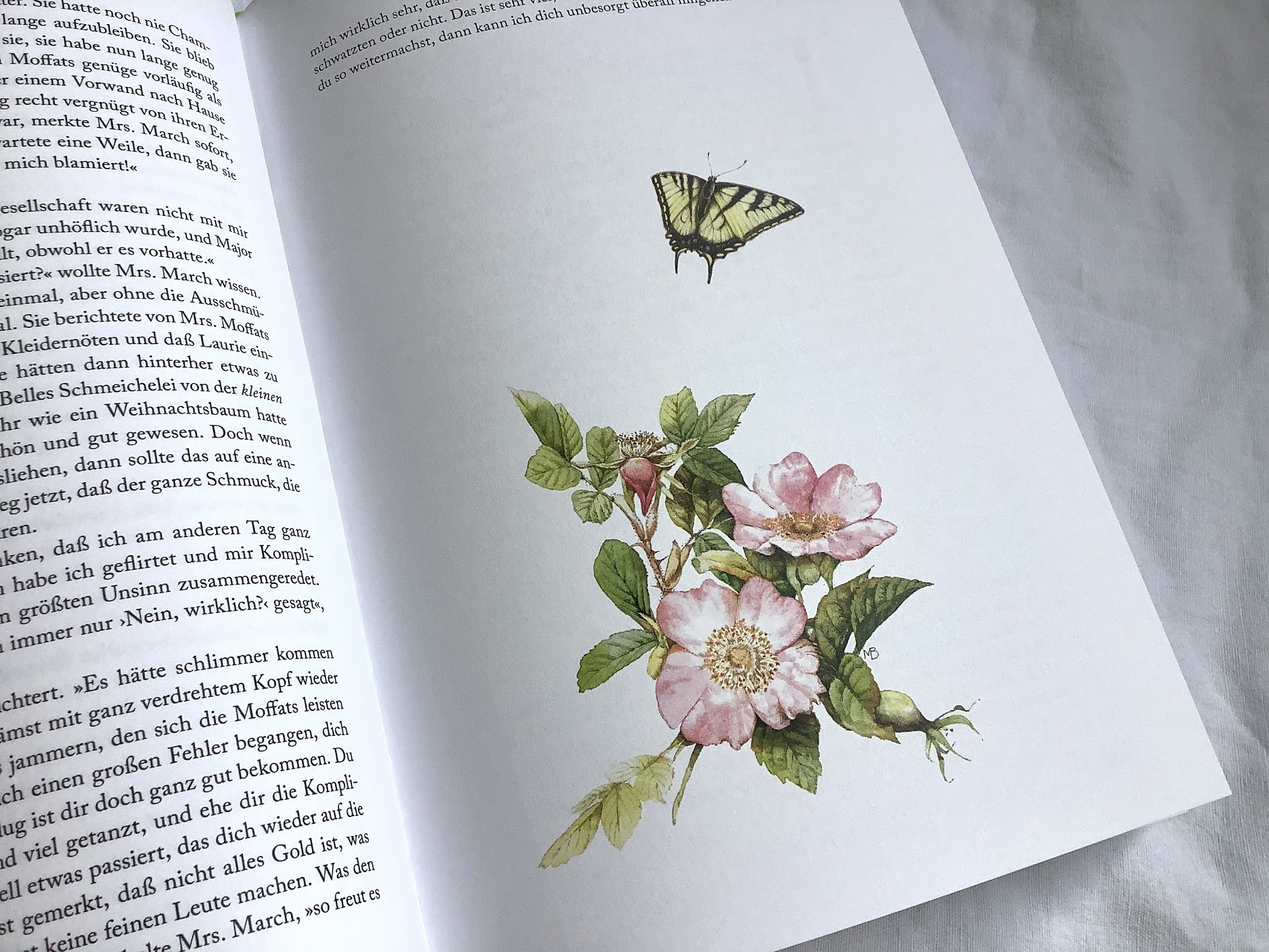 Die Bücherwelt von CorniHolmes: [Rezension] Little Women. Beth und ihre ...