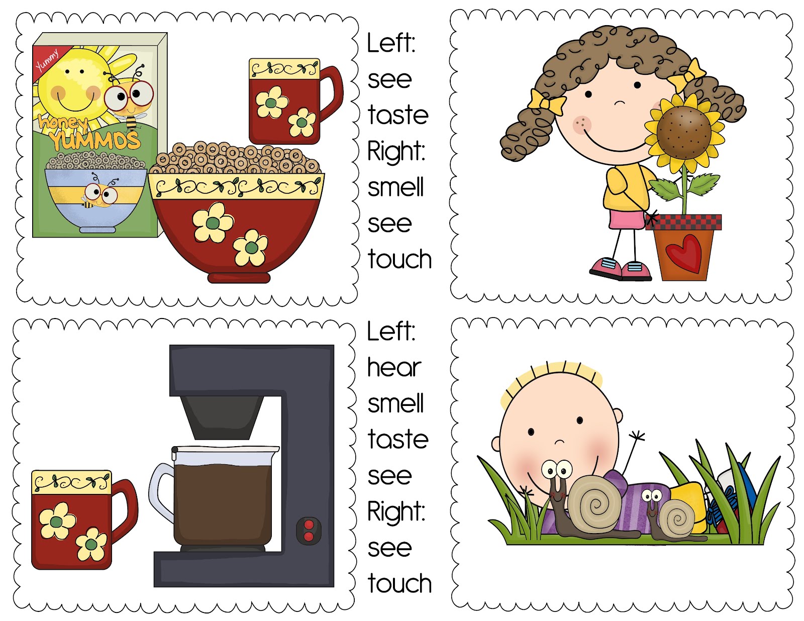 My 5 Senses Unit and a freebie!