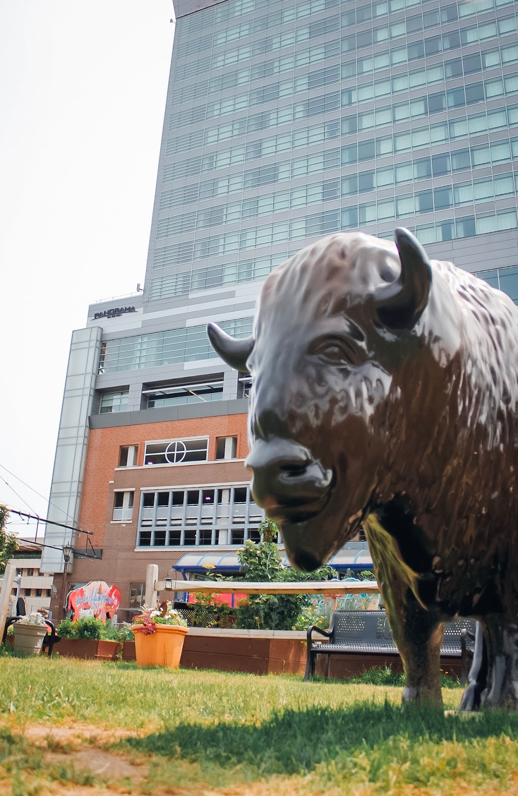 48 Hours of Family-Friendly Fun in Buffalo, New York | To & Fro