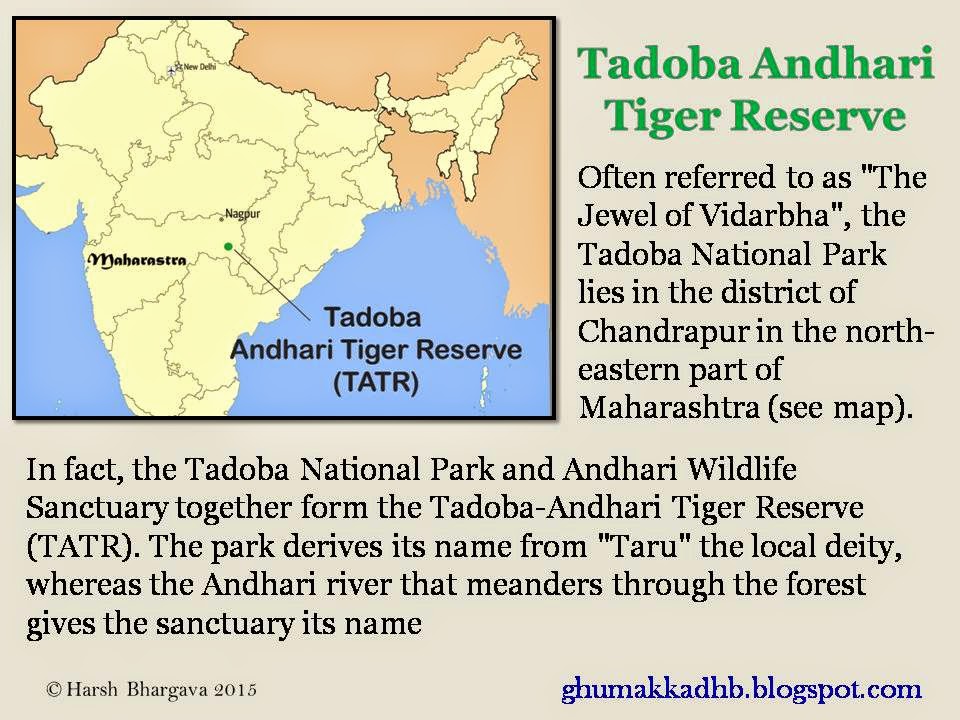 Ghumakkad Harsh: Tadoba Again- Craziest of the Crazies