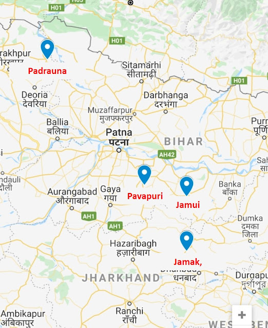 In search of the real Pava...