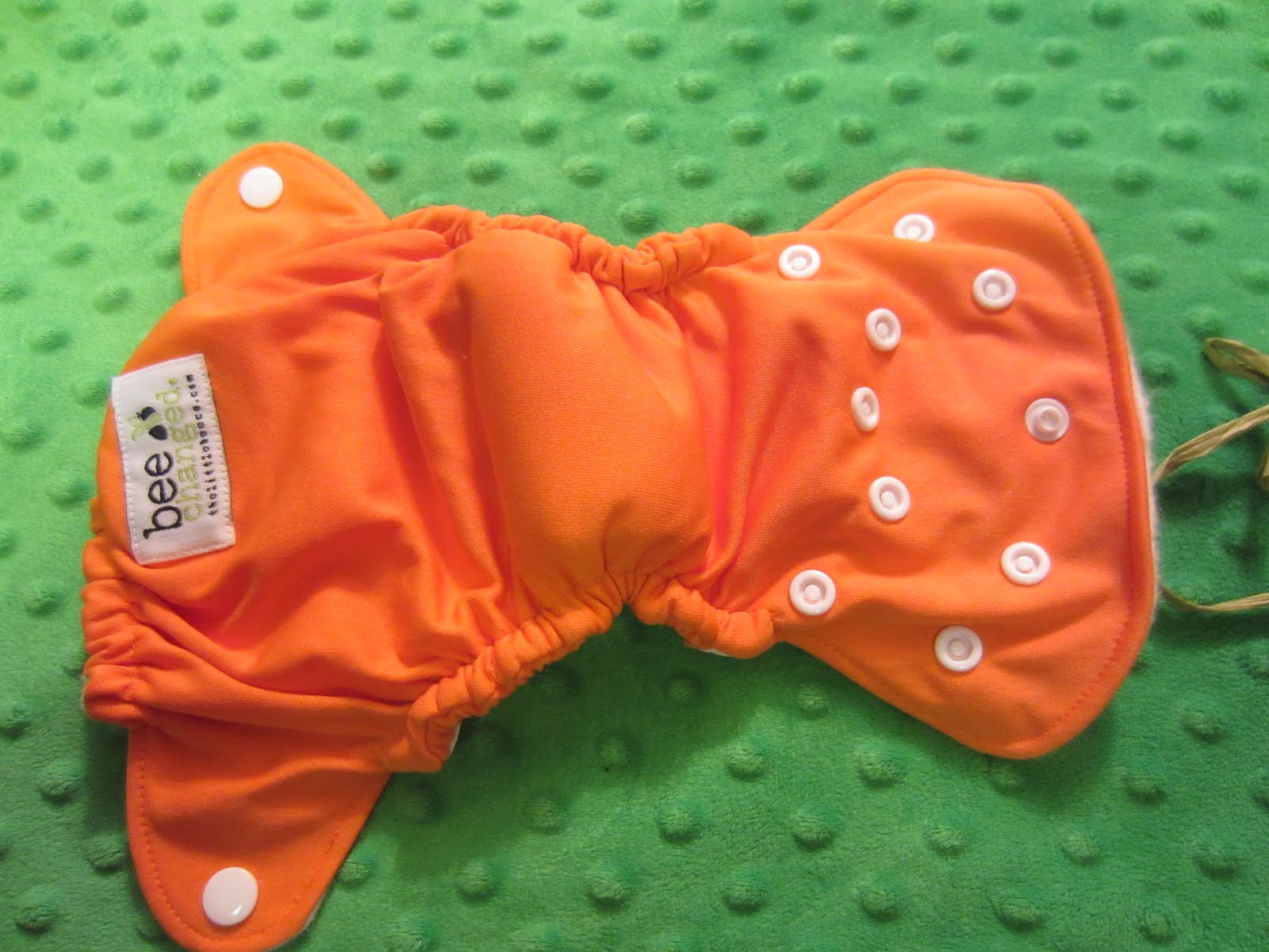 Cloth Diaper Addiction: Newborn Series: Little Bee Co. Newborn Diaper