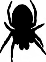 saraccino: Spider shadow stencil