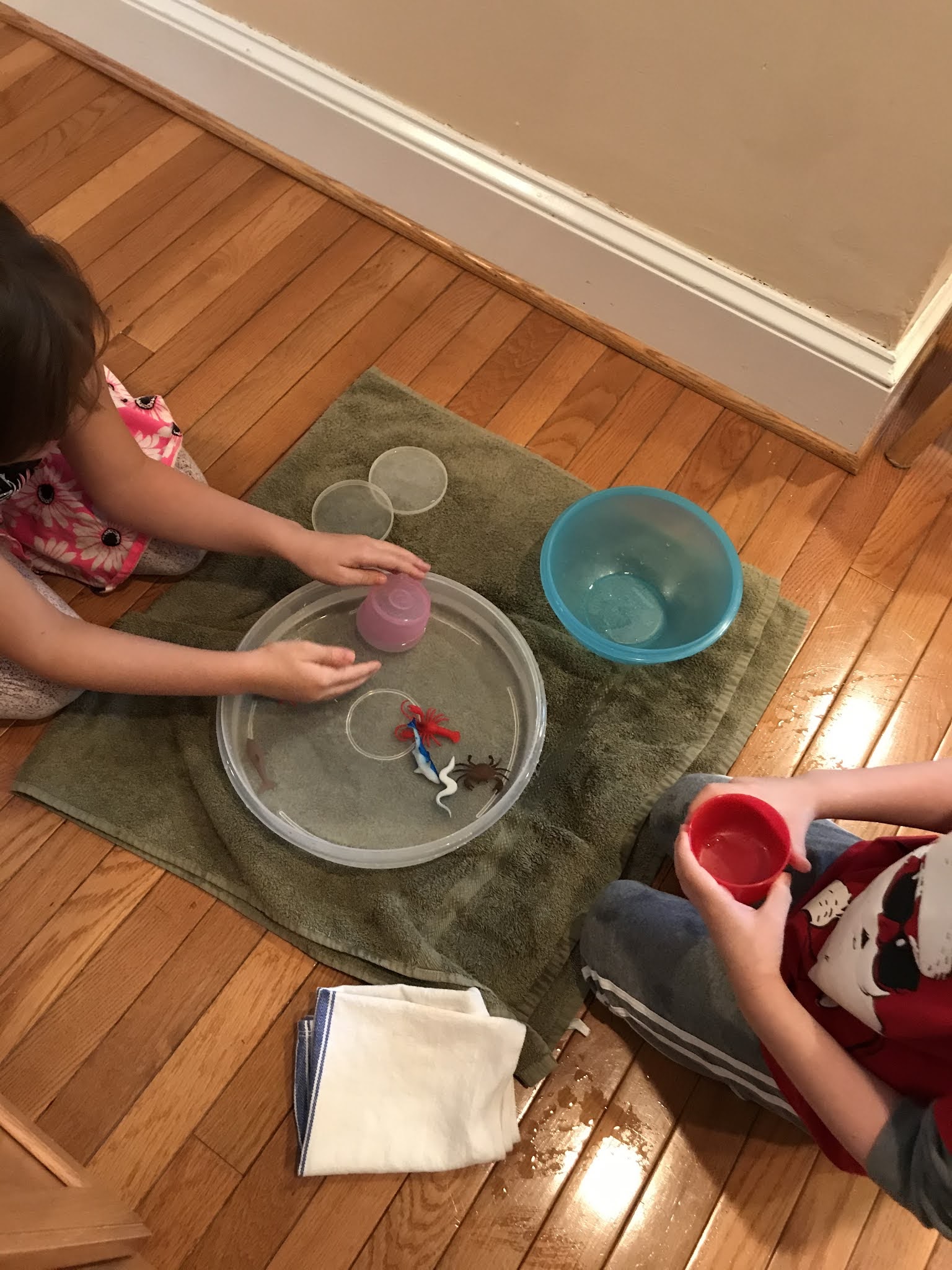 Make Early Learning Fun!: Warm Water Play for Calming Stress Relief