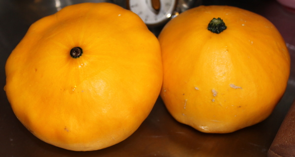 La dînette de Didou: °°° Gratin de patisson jaune