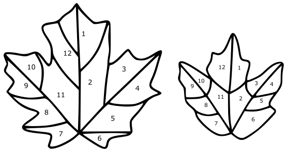 Stained Glass Patterns: Fall Leaves