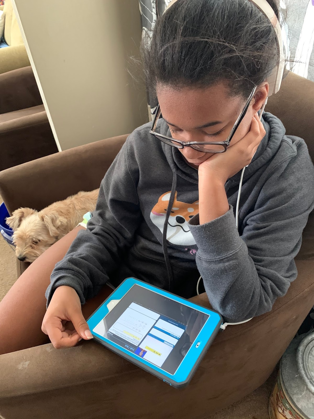 A Stable Beginning: Online Math with Thinkwell Homeschool ~ a TOS review