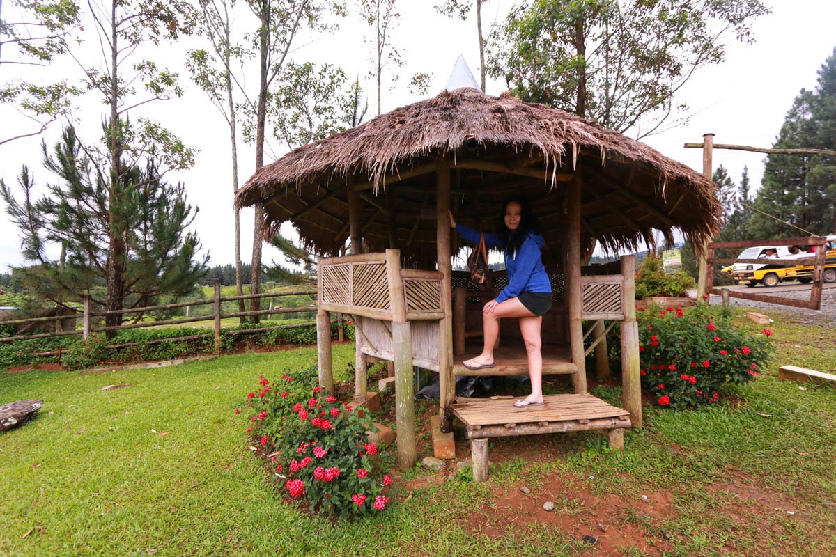 TravelWithShark: The Saddle Ridge ~ Dahilayan, Bukidnon