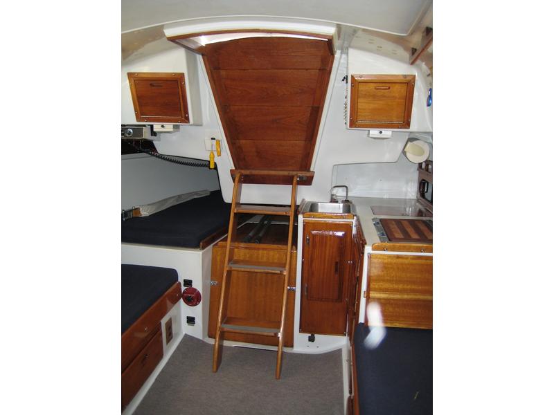 Climbing, swimming, and sailing on purpose: Telling my story: The ...