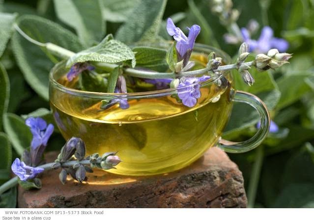 Sage Tea Benefits ~ Healthy Tea 101