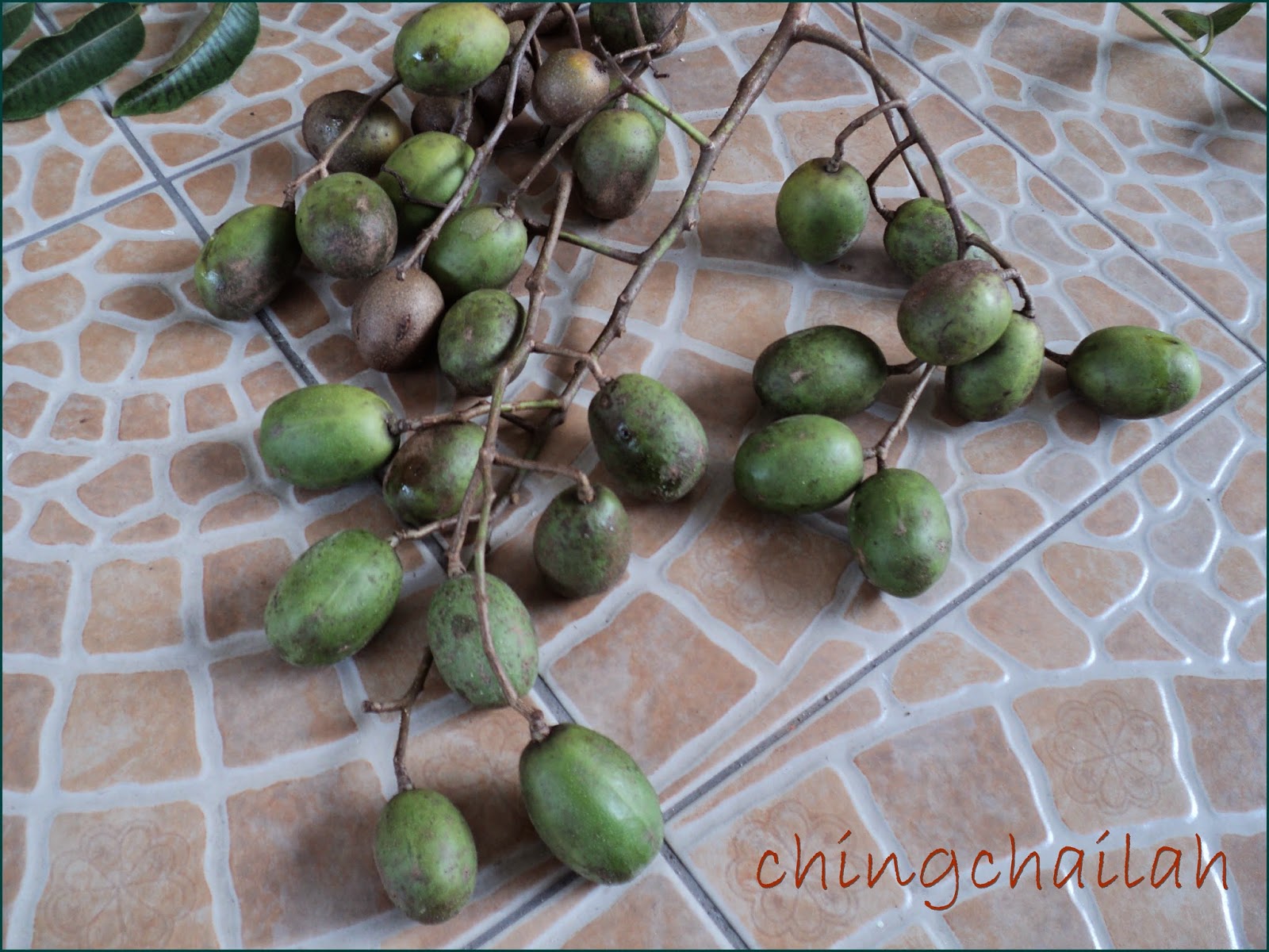 Simple Living In Nancy: AMBARELLA FRUITS OR KEDONDONG (IN MALAY) AND ...